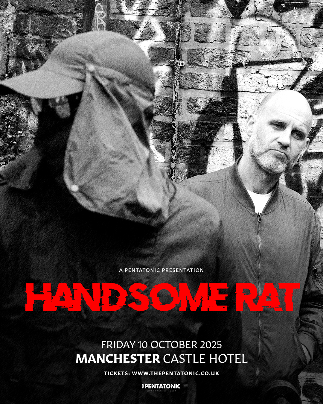 Handsome Rat - The Castle Hotel