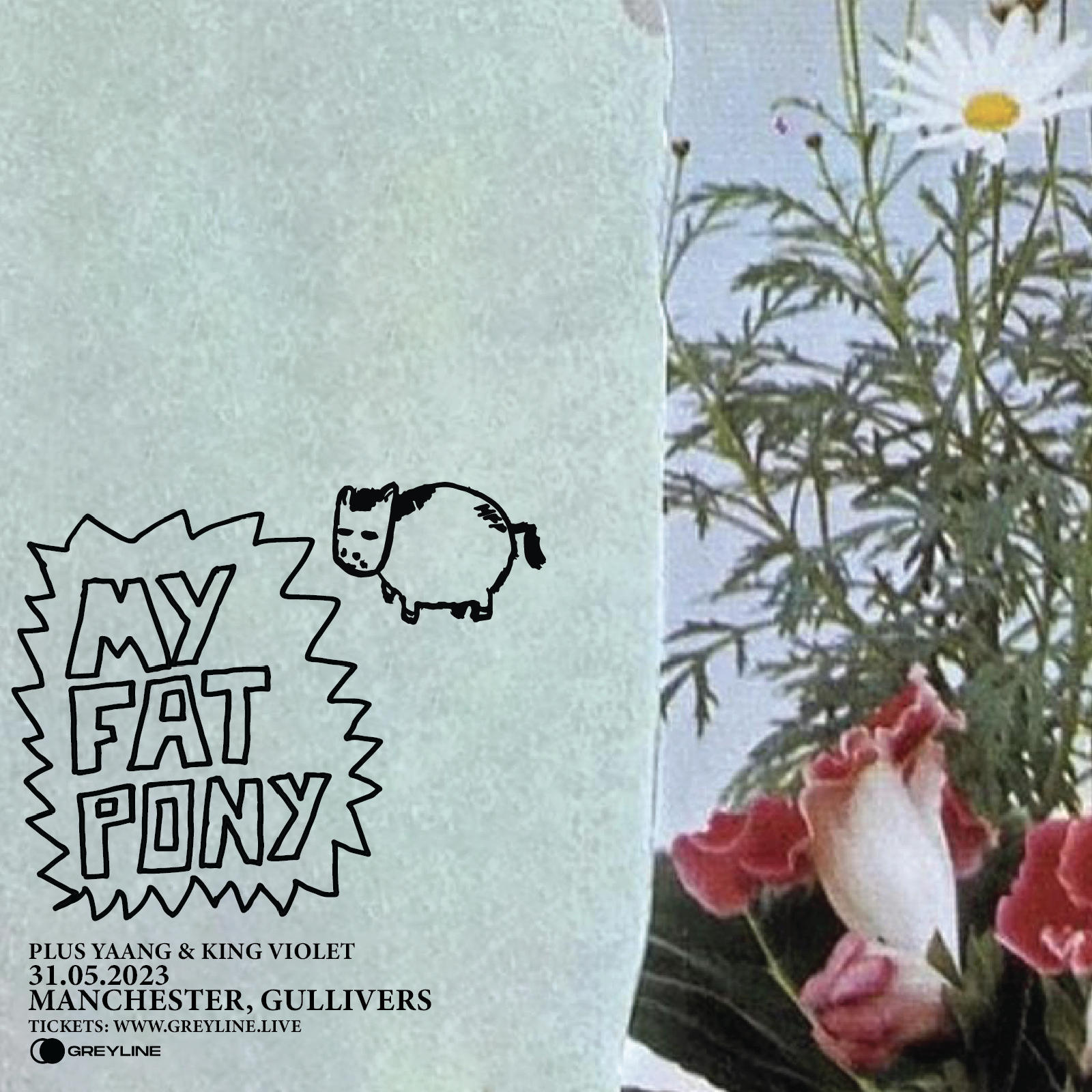 My Fat Pony - Gullivers