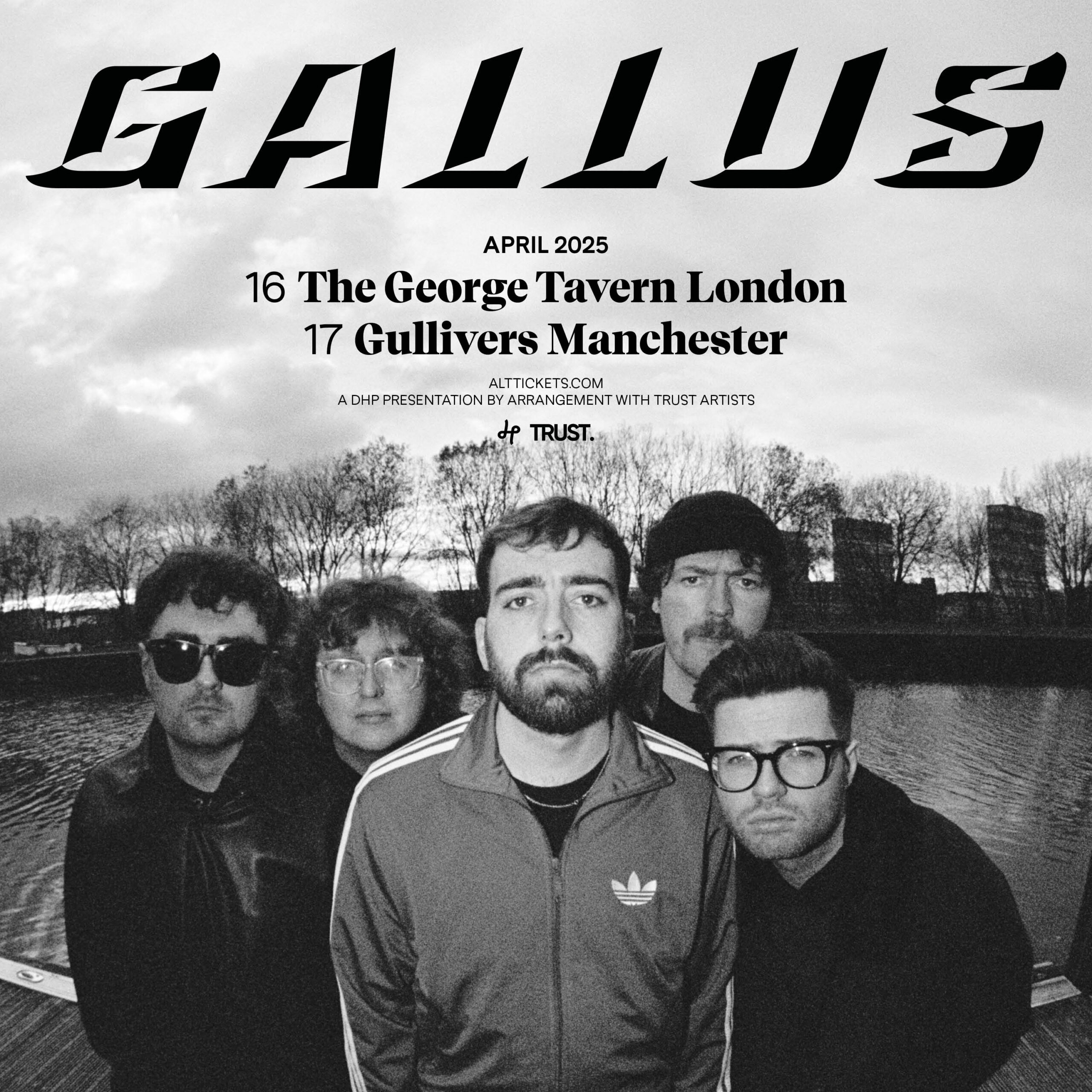 Gallus - Gullivers